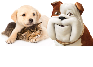 Churchill Pet Insurance Savings, Offers & Voucher Codes from KidStart