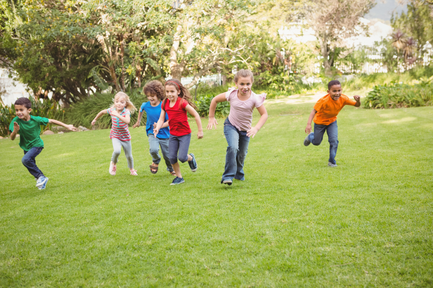 8 Quick Recommendations for Nice Looking Grass - KidStart Magazine ...